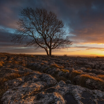 5 Natural Attractions in the Yorkshire Dales | Michael Paul Holidays
